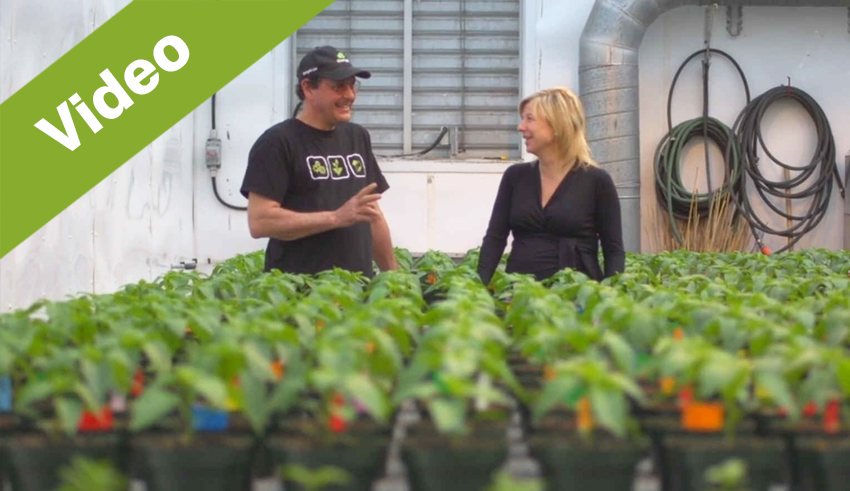 Characteristics of Growing Media Components - Berger - EN