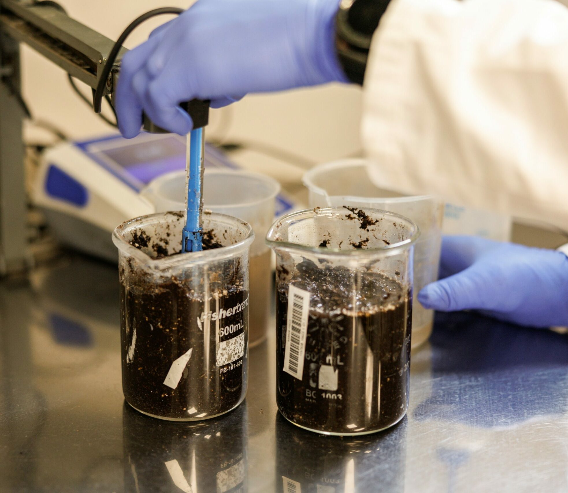 CEA Food Safety Program - Berger - EN