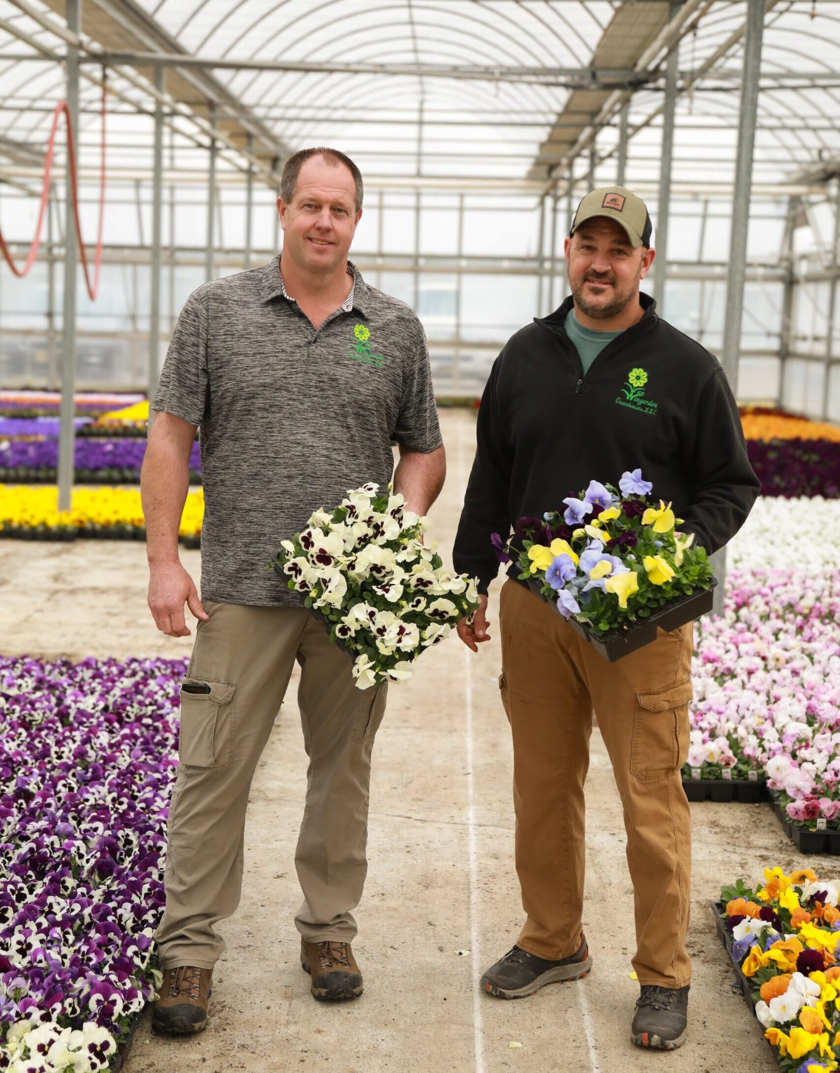 Van Wingerden Greenhouses - Berger - EN